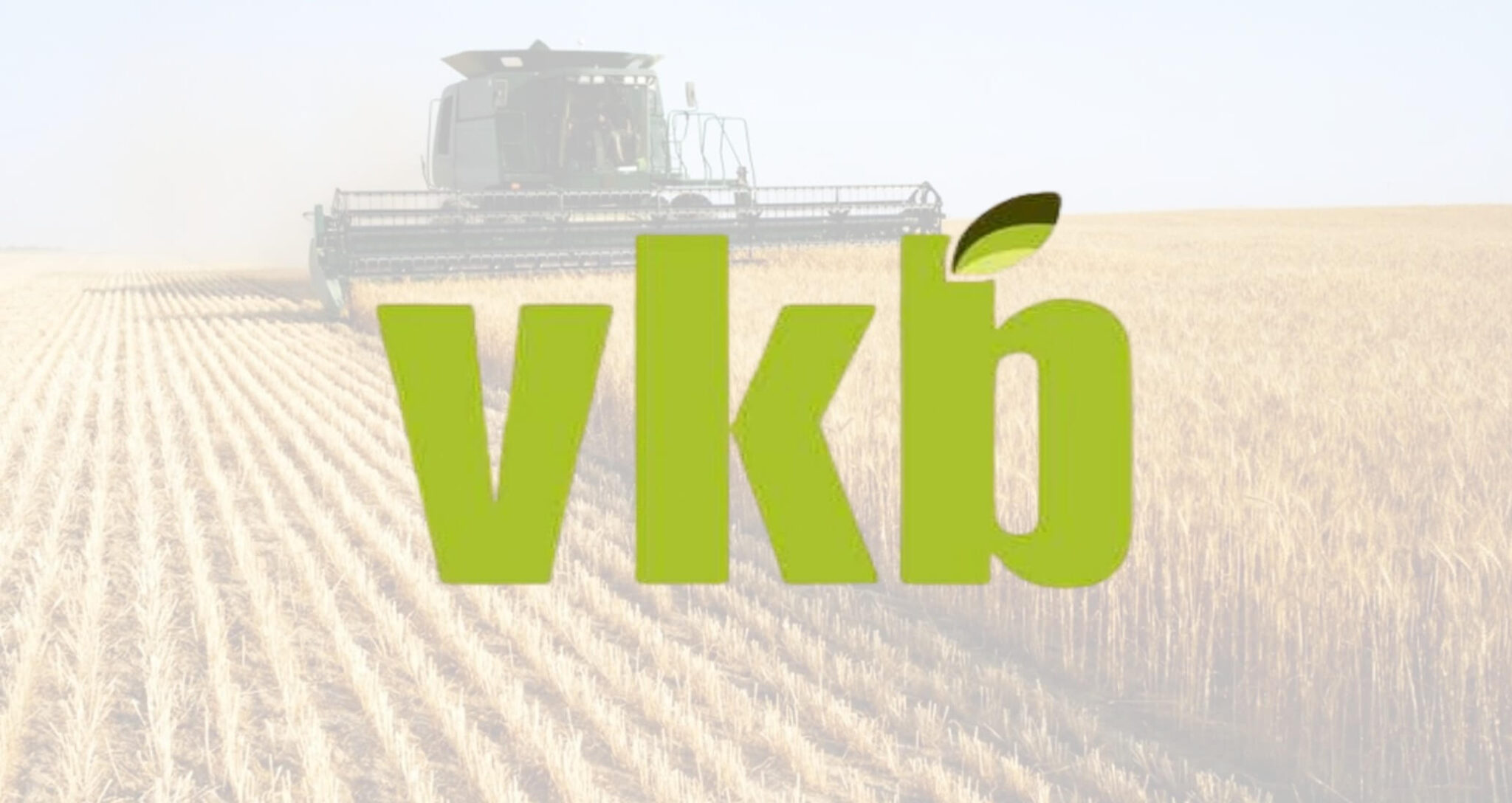 How to Apply for the VKB Agriculture Bursary 2025 - Mynewsroom